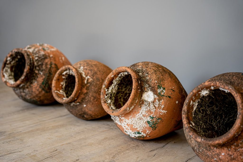 Set of Four French Cockle Pots - DGA by Tina Bird