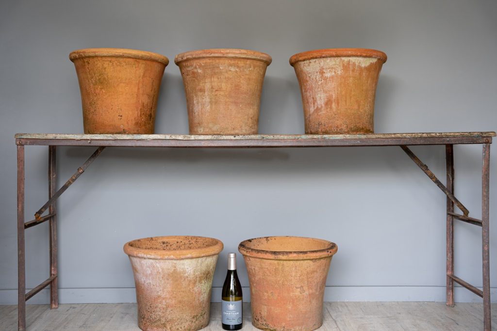 Five 16 inch Large Scale Vintage Terracotta Plants Pots - DGA by Tina Bird