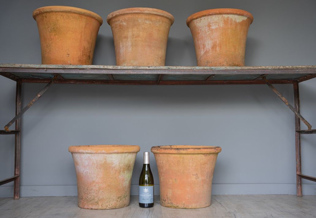 Five 16 inch Large Scale Vintage Terracotta Plants Pots - DGA by Tina Bird