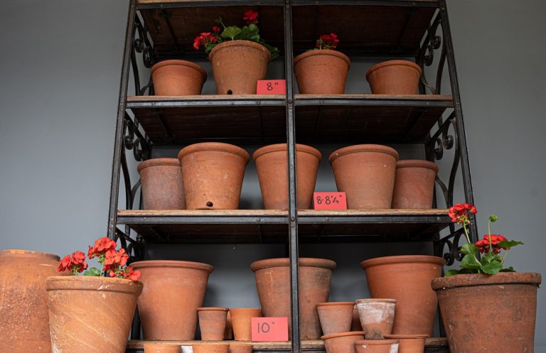 Sankey Bulwell Terracotta Plant Pots - DGA by Tina Bird