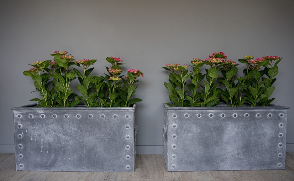 Pair of Rectangular Galvanized Planters - DGA by Tina Bird