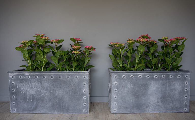 Pair of Rectangular Galvanized Planters - DGA by Tina Bird