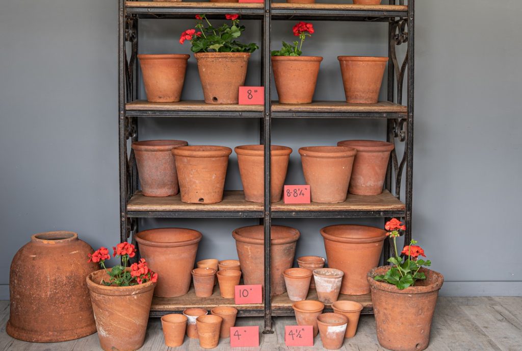 Sankey Bulwell Terracotta Plant Pots - DGA by Tina Bird