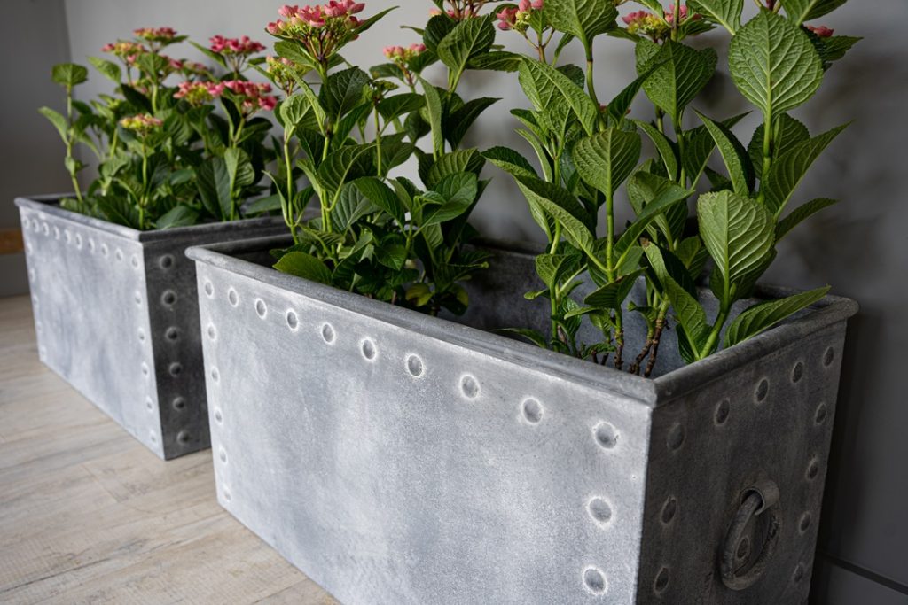 Pair of Rectangular Galvanized Planters - DGA by Tina Bird