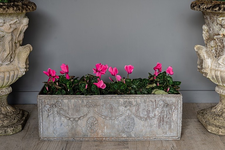 Antique Lead Rectangular Planter - DGA by Tina Bird