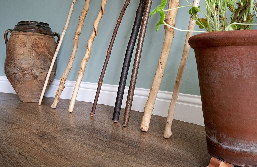 Selection of handmade walking Sticks & Staffs - DGA by Tina Bird