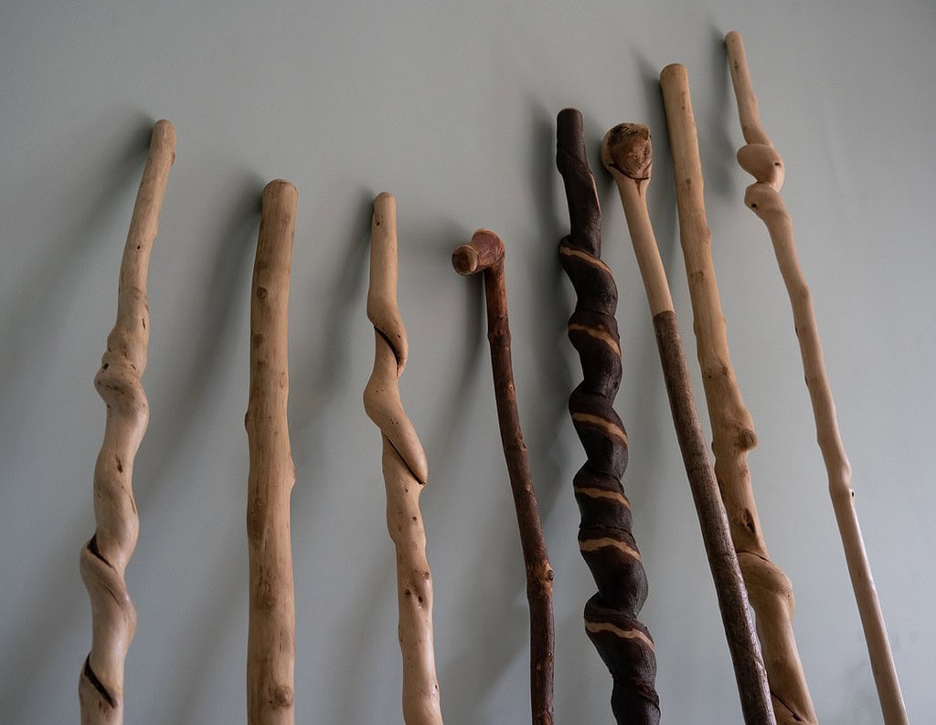 Selection of handmade walking Sticks & Staffs - DGA by Tina Bird