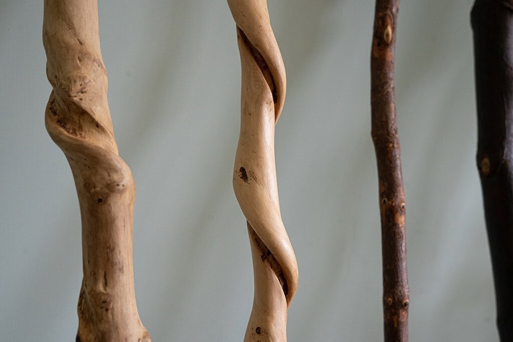 Selection of handmade walking Sticks & Staffs - DGA by Tina Bird