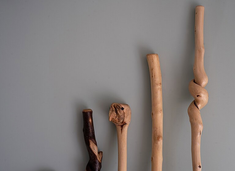 Selection of handmade walking Sticks & Staffs - DGA by Tina Bird