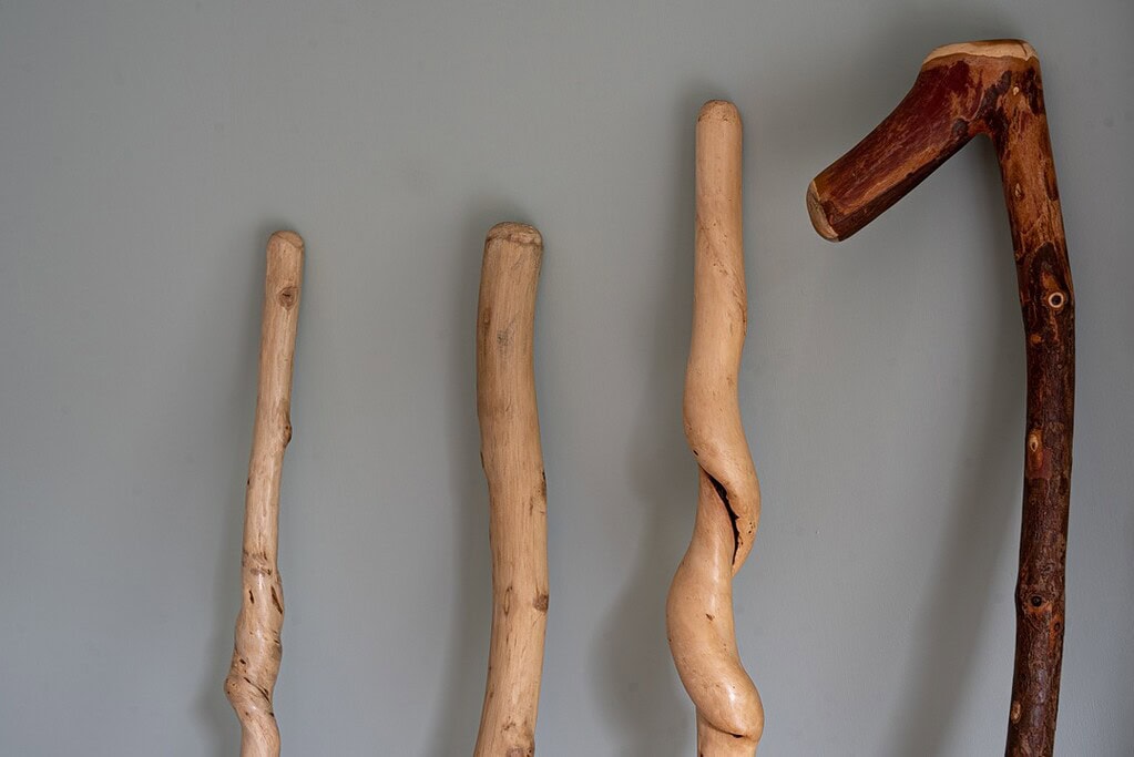 Selection of handmade walking Sticks & Staffs - DGA by Tina Bird