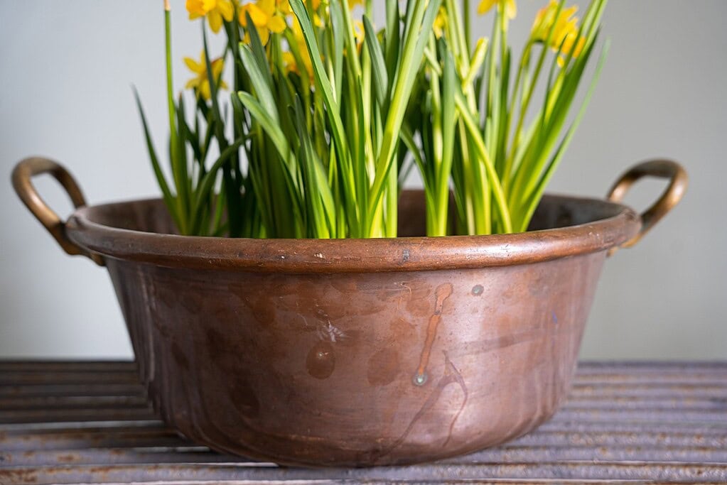 Antique Copper Pot Planter - DGA by Tina Bird