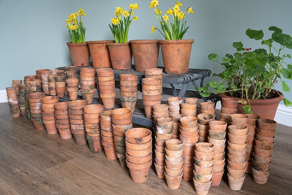 Multiple terracotta plant pots - DGA by Tina Bird
