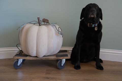 Solid Stone Hand Carved Pumpkin - DGA by Tina Bird