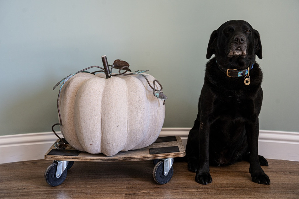 Solid Stone Hand Carved Pumpkin - DGA by Tina Bird
