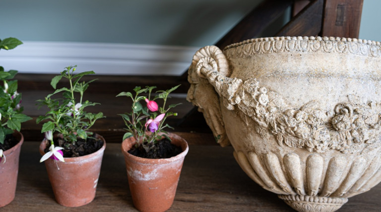A Pair of weathered Garden Wall Pocket Planters - DGA by Tina Bird